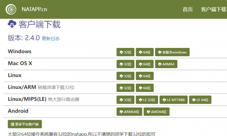 使用自已的域名做内网穿透,内网穿透工具natapp使用教程,自有域名内网穿透详细操作教程 网站搭建 老麻 9109